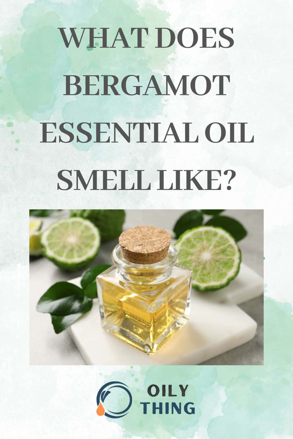 What Does Bergamot Essential Oil Smell Like: Explanation '24